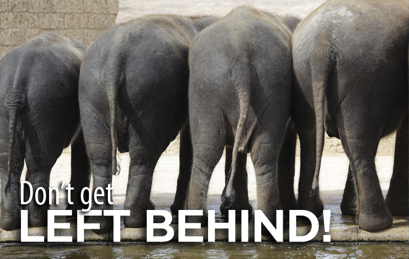 Only Four More Weeks - BSMPG is about to Sell Out Again!